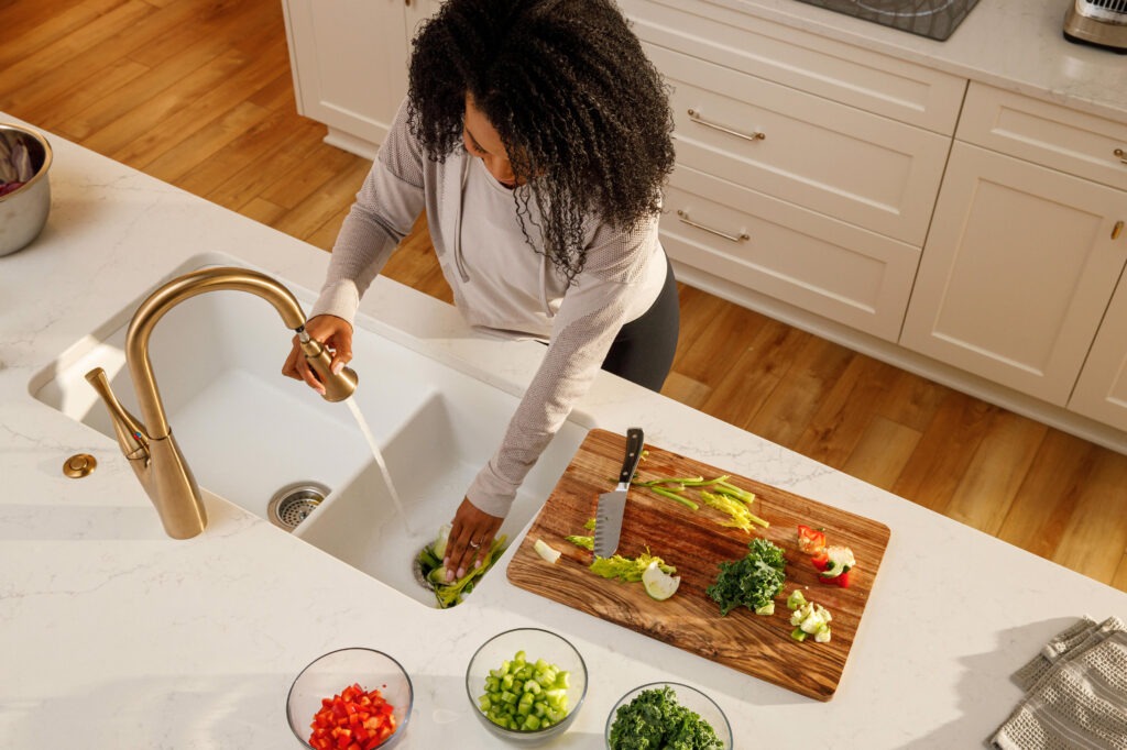 How to Choose the Best Food Disposal for Kitchen